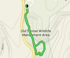 Old Tunnel State Park Trail: 80 Reviews, Map - Texas | AllTrails