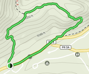 Montezuma Quail Trail: 84 Reviews, Map - Texas | AllTrails