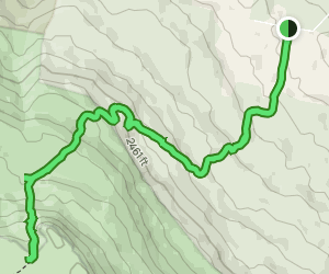 Parsons Track: 21 Reviews, Map - Tasmania, Australia | AllTrails