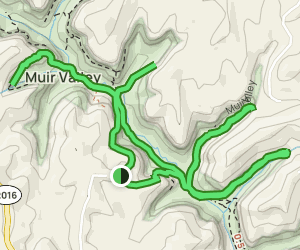 Muir Valley Trails: 76 Reviews, Map - Kentucky | AllTrails