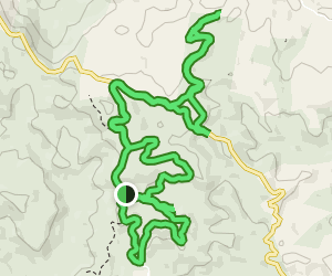 Childers Plantations Loop: 9 foto's - Victoria, Australia | AllTrails