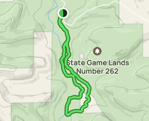 State Game Lands 262, Pennsylvania - 6 Reviews, Map | AllTrails