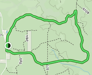 Conecuh Middle Trail, Florida - 13 Reviews, Map | AllTrails