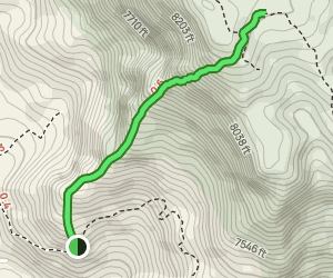 Mount Prau via Patak Banteng: 16 Reviews, Map - Central Java, Indonesia ...