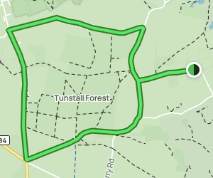 High House Camp Site and Tunstall Forest: 3 Fotos - Suffolk, England ...