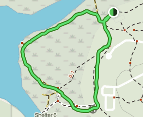 Lettuce Lake Park Boardwalk #1 and Tower, Florida - 193 Reviews, Map ...