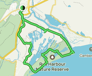 Rye Harbour Nature Reserve: 111 Reviews, Map - East Sussex, England ...