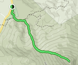 Mount Wedge Summit Track: 48 Reviews, Map - Tasmania, Australia | AllTrails