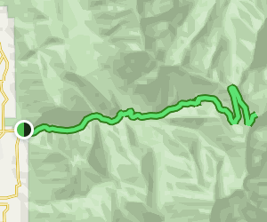 Shingle Mill Peak via Rock Canyon Trail: 33 Reviews, Map - Utah | AllTrails