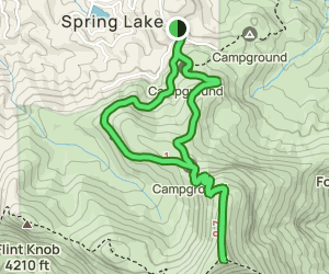 Rabun Bald via Beegum Gap: 1129 Reviews, Map - Georgia | AllTrails