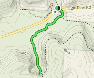 Big Spring Hollow Falls Trail: 230 Reviews, Map - Ohio | AllTrails