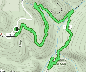 Drift Creek Falls Trail #1378: 2608 Reviews, Map - Oregon | AllTrails
