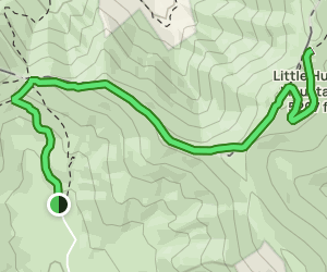 Little Hump Mountain via the Appalachian Trail: 164 Reviews, Map ...
