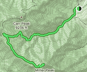 Miller Peak via Miller Canyon Trail: 127 Reviews, Map - Arizona | AllTrails