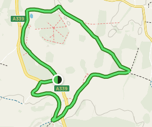 Hackwood Park: 100 Reviews, Map - Hampshire, England | AllTrails