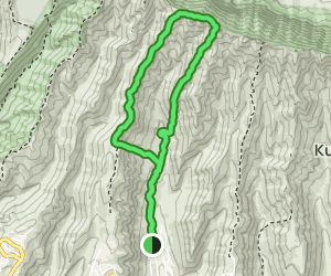 Wailupe Loop Trail: 3,380 fotos - Oahu, Hawaii | AllTrails
