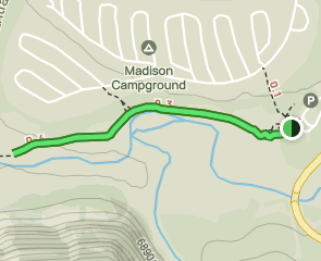 Madison River Trail, Montana - 26 Reviews, Map | AllTrails