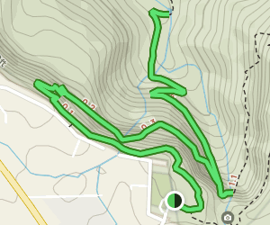 Purling Brook Falls and Warringa Pool Tracks: 129 Reviews, Map ...