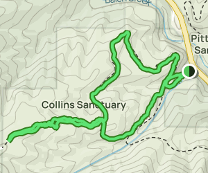 Collins Trail: 129 foto's - Oregon | AllTrails