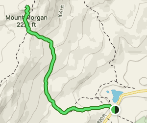 Mount Morgan Trail: 656 Reviews, Map - New Hampshire | AllTrails