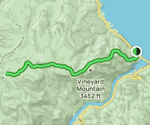 Vineyard Trail: 206 Reviews, Map - Arizona | AllTrails