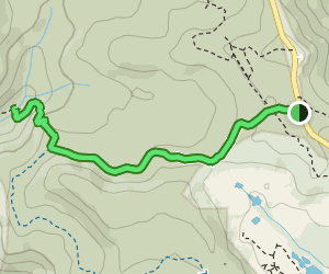 Kariong Brook Falls via Thommos Loop: 197 Reviews, Map - New South ...