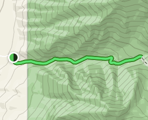 North Peak and Mount Nebo Trail: 9 Reviews, Map - Utah | AllTrails