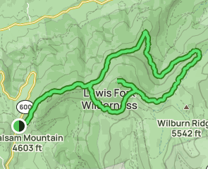 Pine Mountain and Mount Rogers via Appalachian Trail: 22 Reviews, Map ...