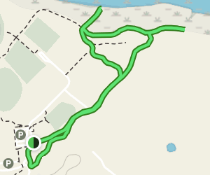 Windsor Park Sculpture Walk: 13 Reviews, Map - Tasmania, Australia ...