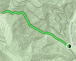 Spring Creek Trail, Montana - 9 Reviews, Map | AllTrails