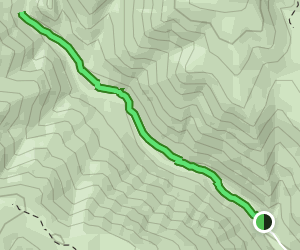 Miners Creek Trail: 52 Reviews, Map - Colorado | AllTrails