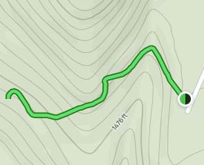 Doerner Fir Trail, Oregon - 21 Reviews, Map | AllTrails