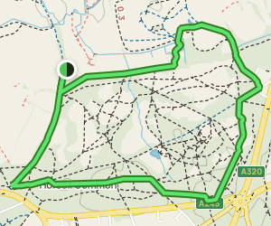 Horsell Common Circular, 32 Fotos - Surrey, England | AllTrails