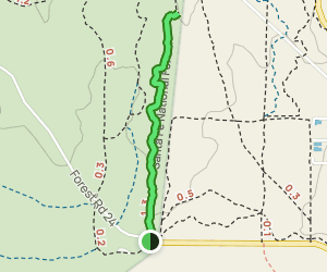 County Road 62 El Camino Real Trail: 41 Reviews, Map - New Mexico ...