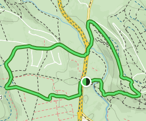 Box Hill and Denbies Vineyard Circular: 251 Reviews, Map - Surrey ...