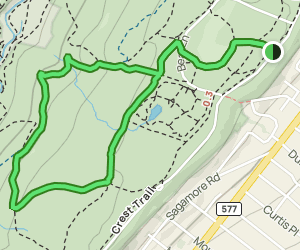 Lenape Trail and Grassy Trail Loop: 166 Reviews, Map - New Jersey ...