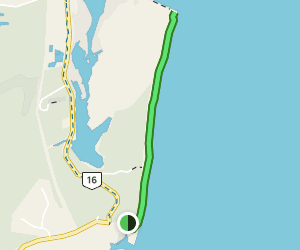 Hungry Head to Urunga Heads Beach Walk: 6 Reviews, Map - New South ...