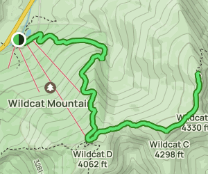 Wildcat Ski Slope to Wildcat Mountain: 378 Reviews, Map - New Hampshire ...