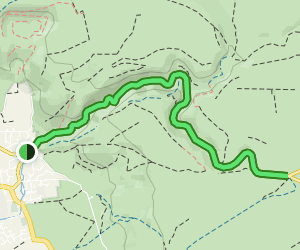 Cheddar Gorge Walk: 248 Fotos - Somerset, Inglaterra | AllTrails