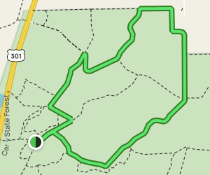 Cary State Forest Preserve Trail: 120 Reviews, Map - Florida | AllTrails