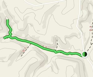 Yellow Birch Ravine: 249 Reviews, Map - Indiana | AllTrails