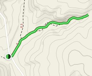 Yellow Birch Ravine Double Falls: 30 Reviews, Map - Indiana | AllTrails