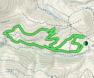 Ash Canyon Deer Run, Evidence and Baldy Green Loop: 37 Reviews, Map ...