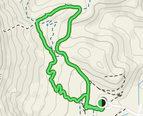 Verdin Trail Loop, Nevada - 102 Reviews, Map | AllTrails