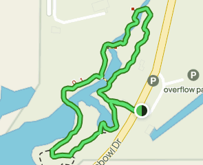 Homosassa Springs Boardwalk, Florida - 63 Reviews, Map | AllTrails