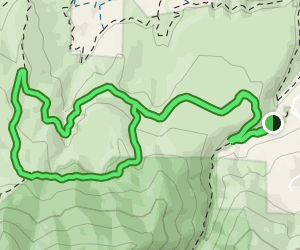Boundary Spur A to Boundary Spur B: 50 Reviews, Map - Nevada | AllTrails