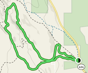 Pig Farm Trail System: 155 Reviews, Map - Montana | AllTrails