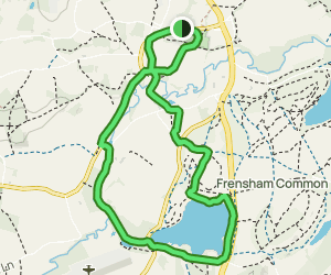 Frensham and the Great Pond: 163 Fotos - Surrey, England | AllTrails