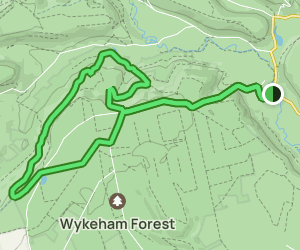 Wykeham Forest: 35 Reviews, Map - North Yorkshire, England | AllTrails
