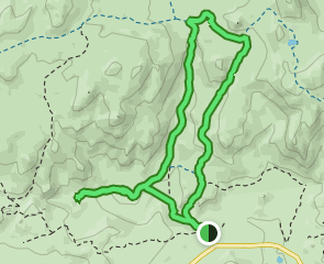 Molly Lake Road, Lady Moon Trail, and Disappointment Falls Loop ...